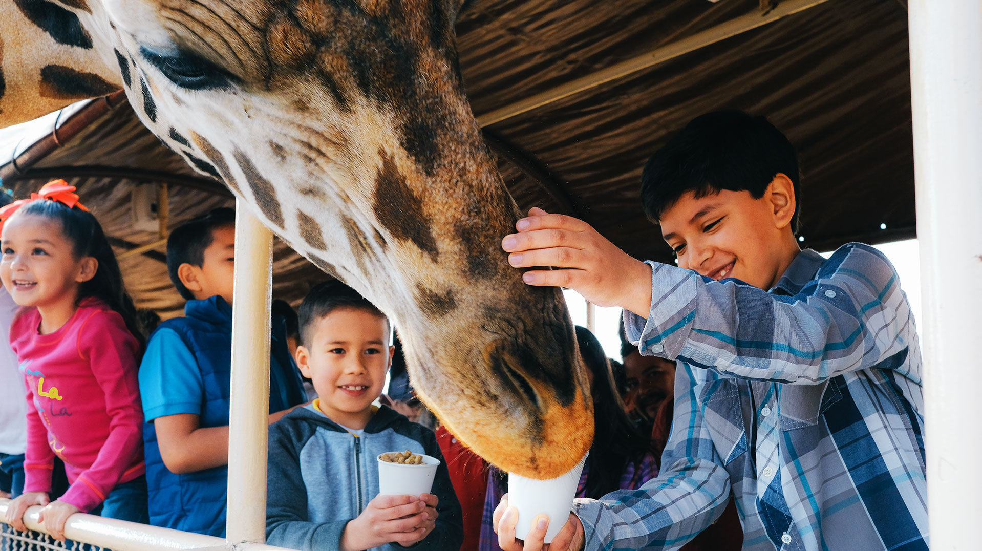 Reino Animal – Reino Animal, divertido parque temático Safari ...