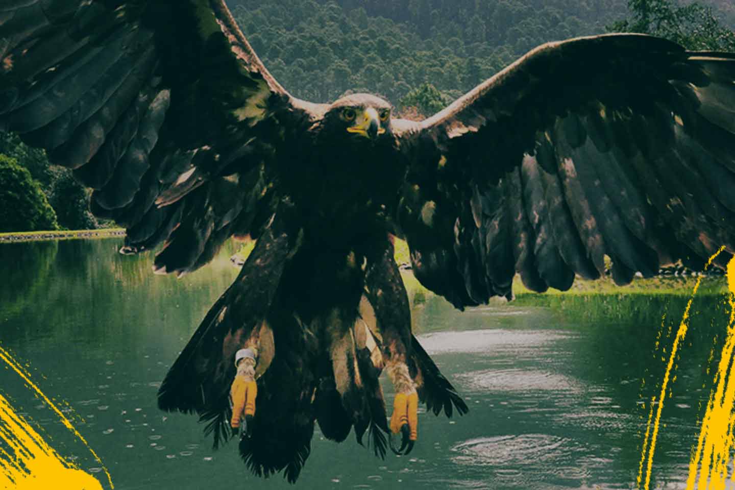 Reino Animal, divertido parque temático, Teotihuacán México. – Reino ...