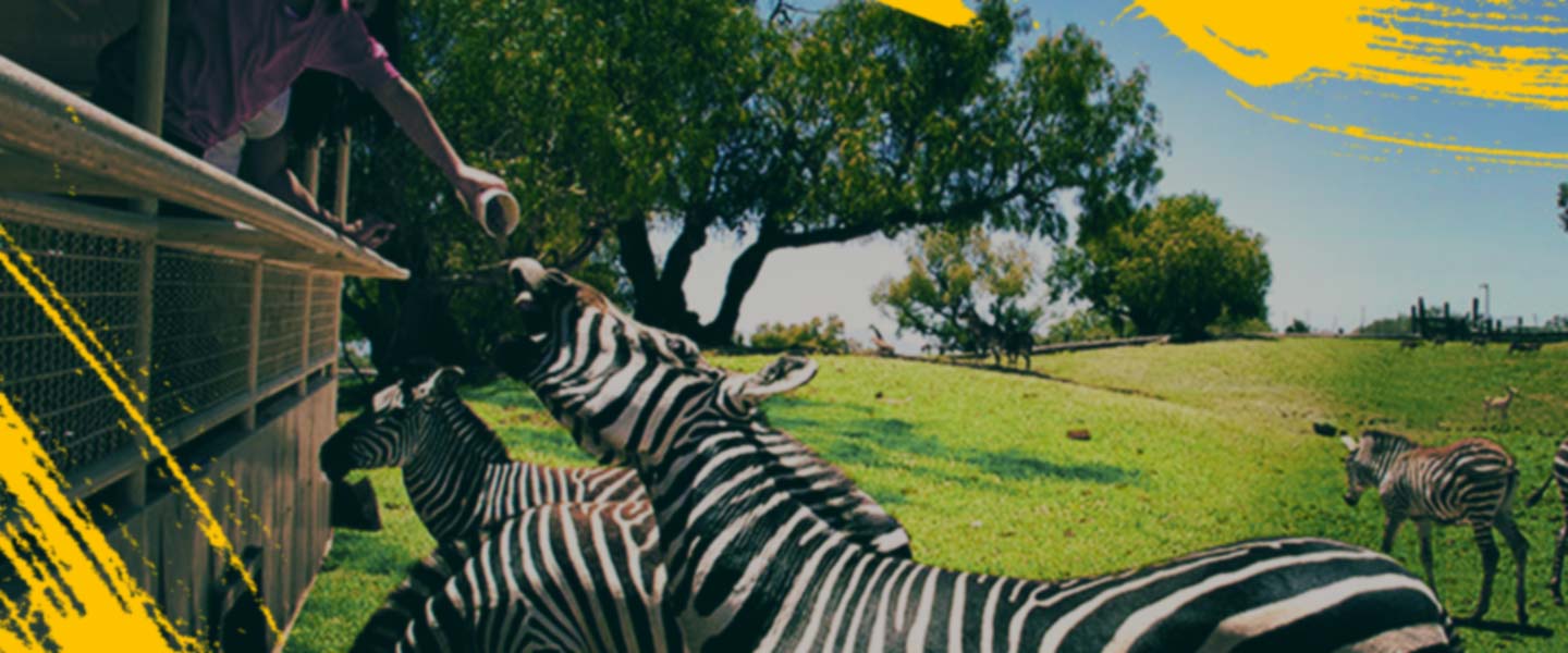 Reino Animal, divertido parque temático, Teotihuacán México. – Reino ...