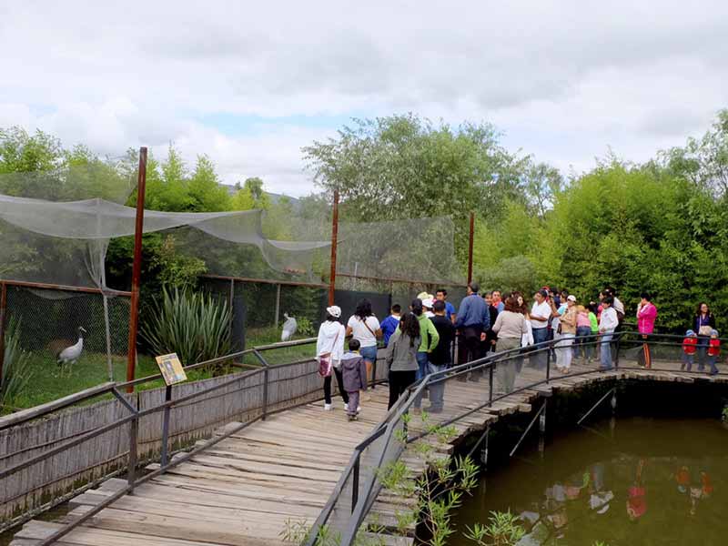 Reino Animal, divertido parque temático, Teotihuacán México. – Reino ...