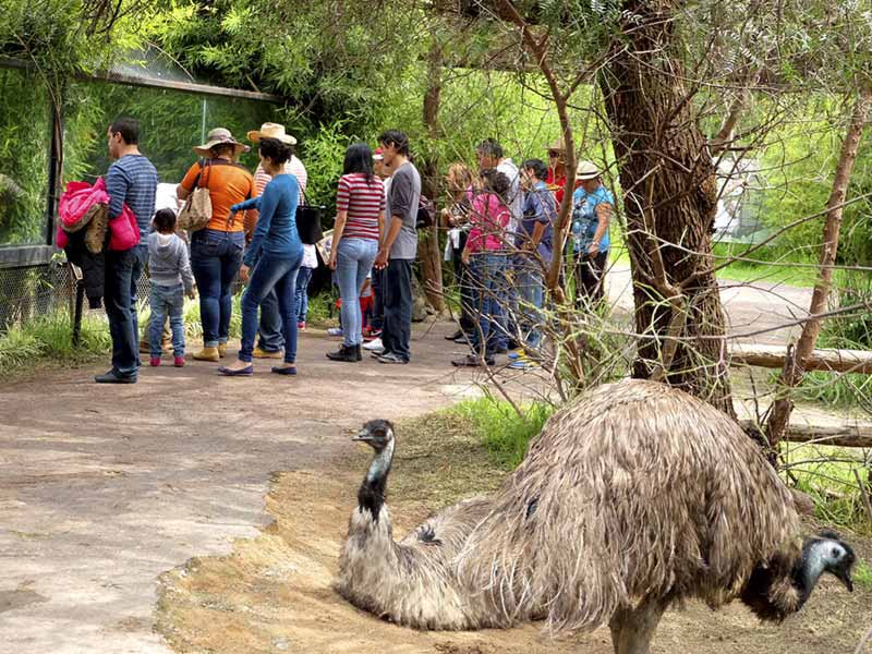 Reino Animal, divertido parque temático, Teotihuacán México. – Reino ...