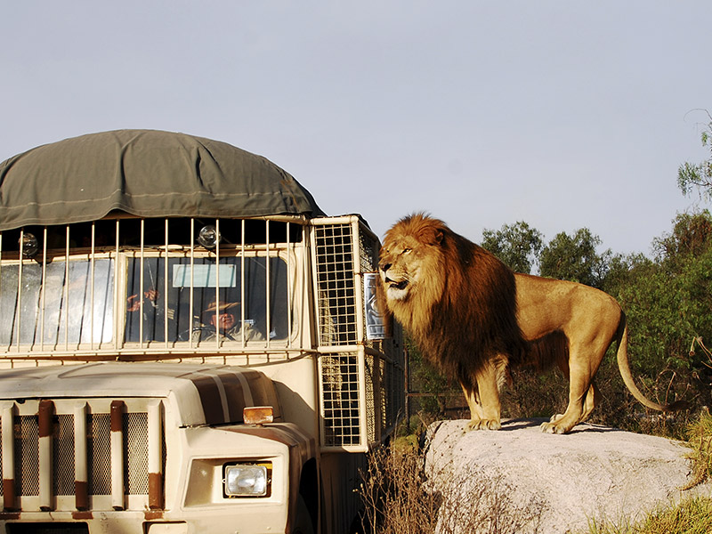 Reino Animal, divertido parque temático, Teotihuacán México. – Reino ...