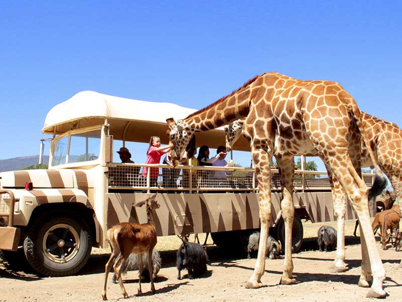 Reino Animal, divertido parque temático, Teotihuacán México. – Reino ...