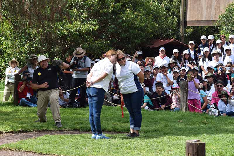 reino-animal-escuelas-e2 | Reino Animal