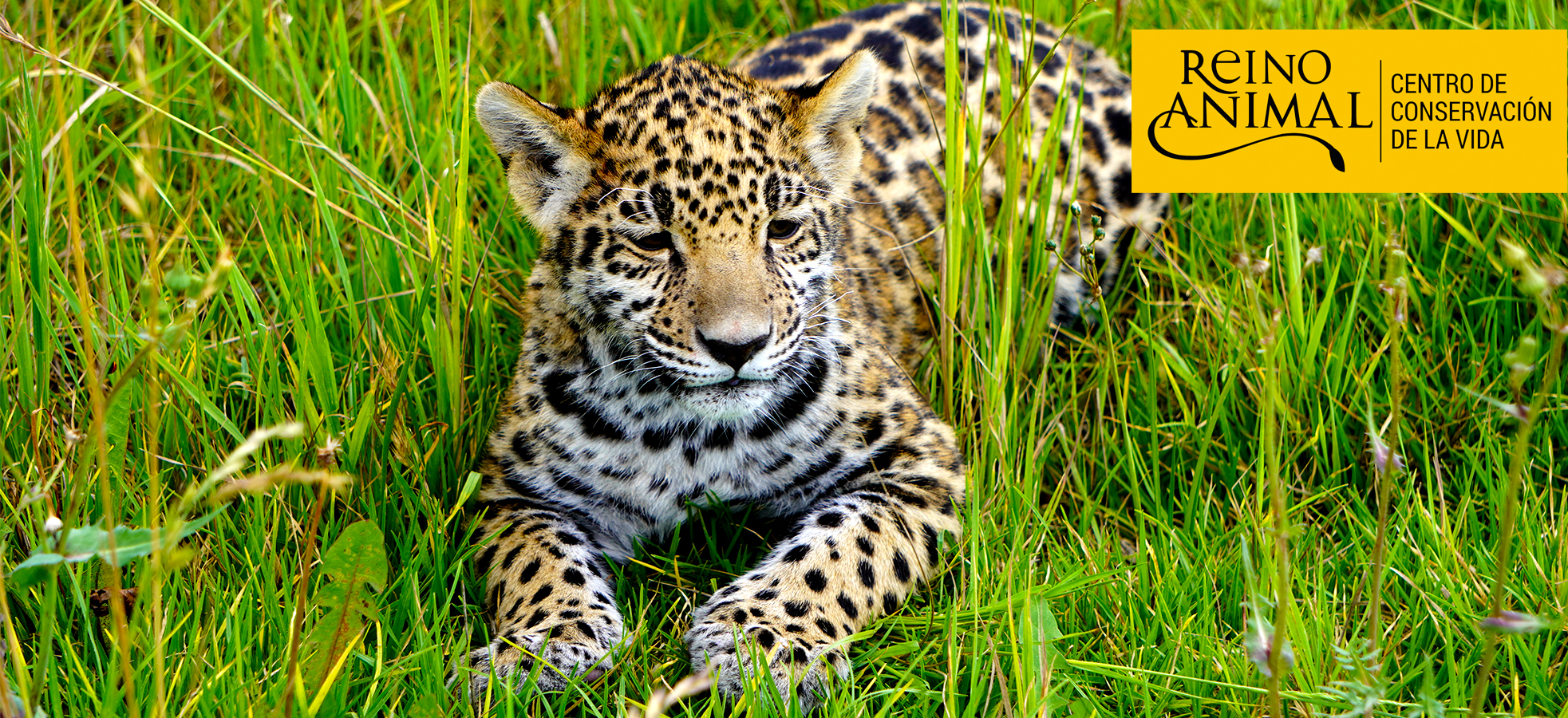 Reino Animal – Reino Animal, divertido parque temático Safari ...